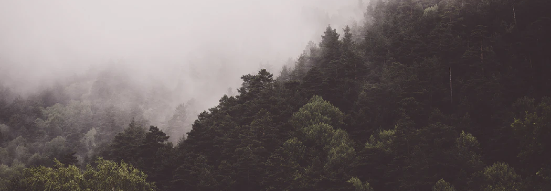 Screen Protector - UNBREAKcable